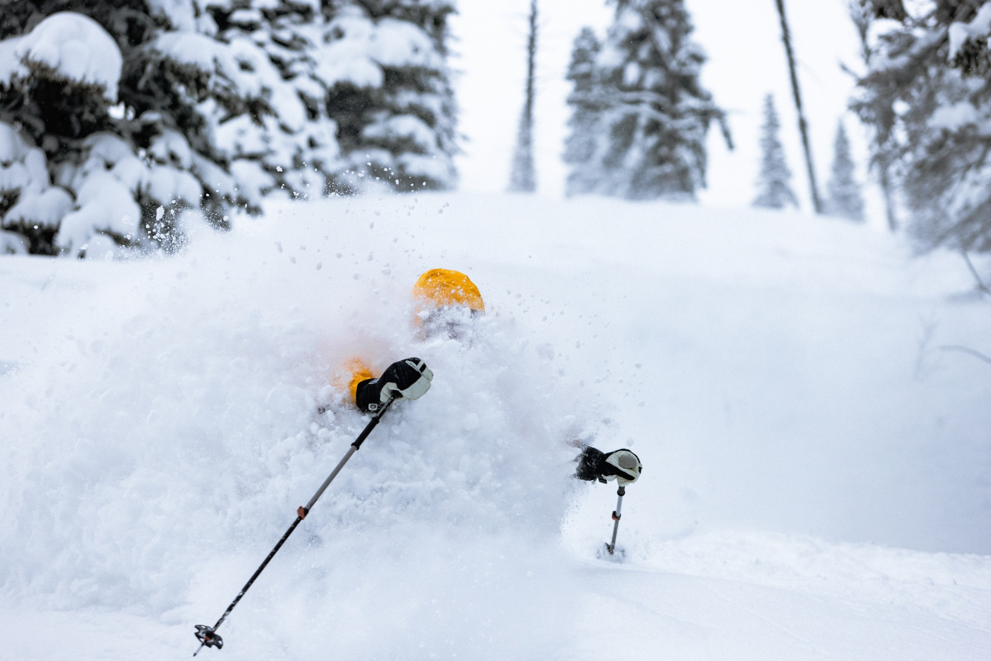 Fernie's Skiing and Winter Trails are Open - Fernie RV Resort