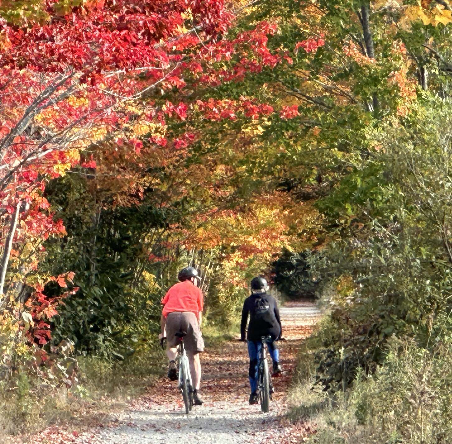 Hike, Bike & Stay at Fernie RV Resort - Fernie RV Resort